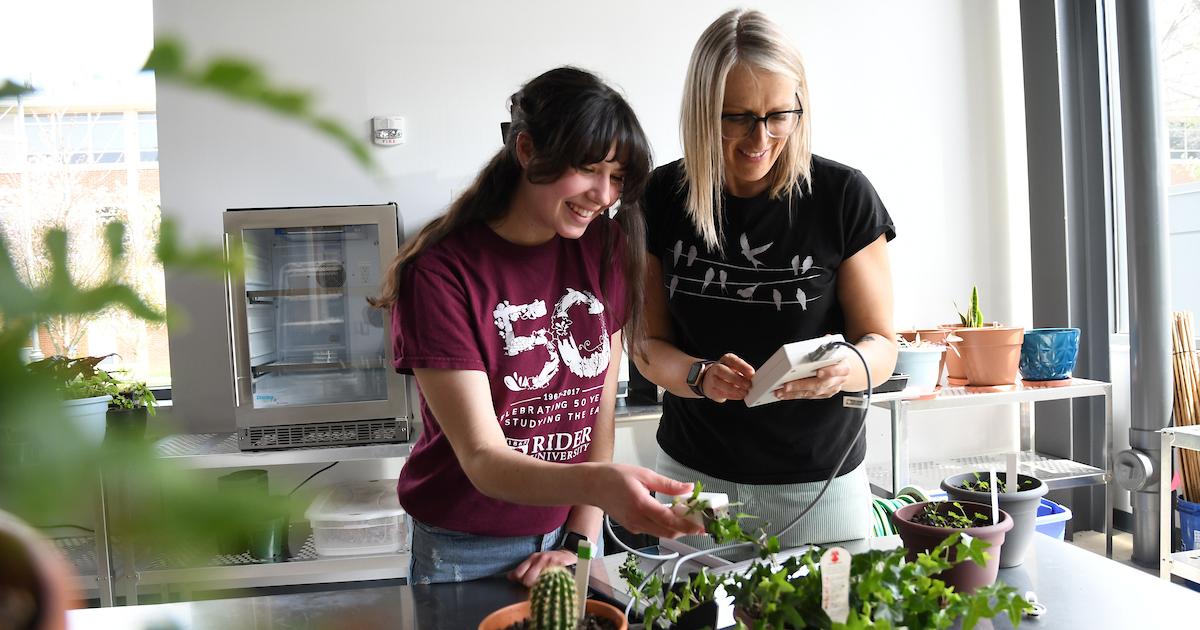 Rider professor receives prestigious $500K NSF grant | Rider University