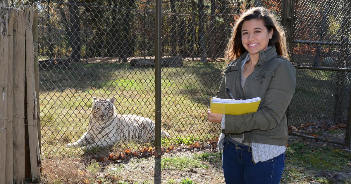 Research takes student to the tigers' den | Rider University