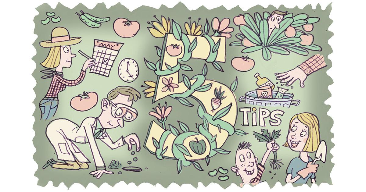 5 tips on starting a vegetable garden | Rider University