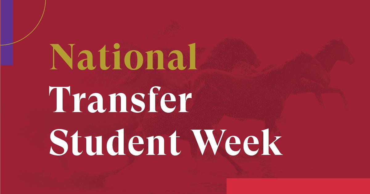 National Transfer Student Week | Rider University