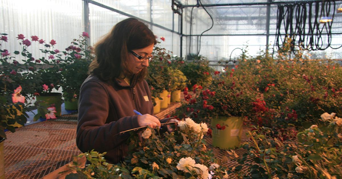 Kristen Pullen ’10 | Rider University