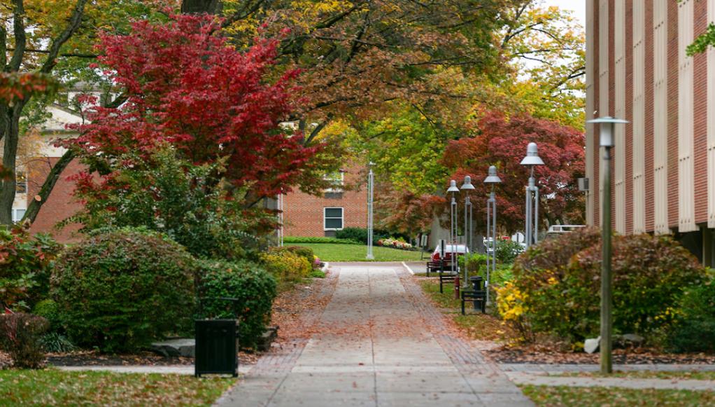 Life and Career Coaching | Rider University