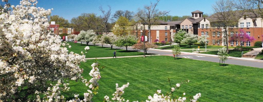 Undergraduate Open House | Rider University