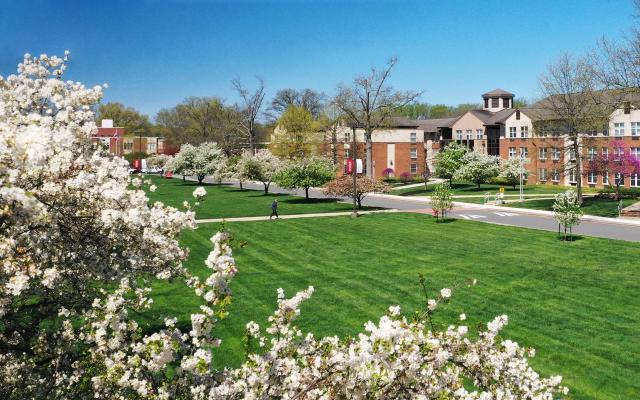 Undergraduate Open House | Rider University