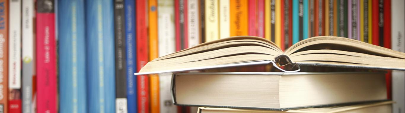 Rider First Day Program | Rider University